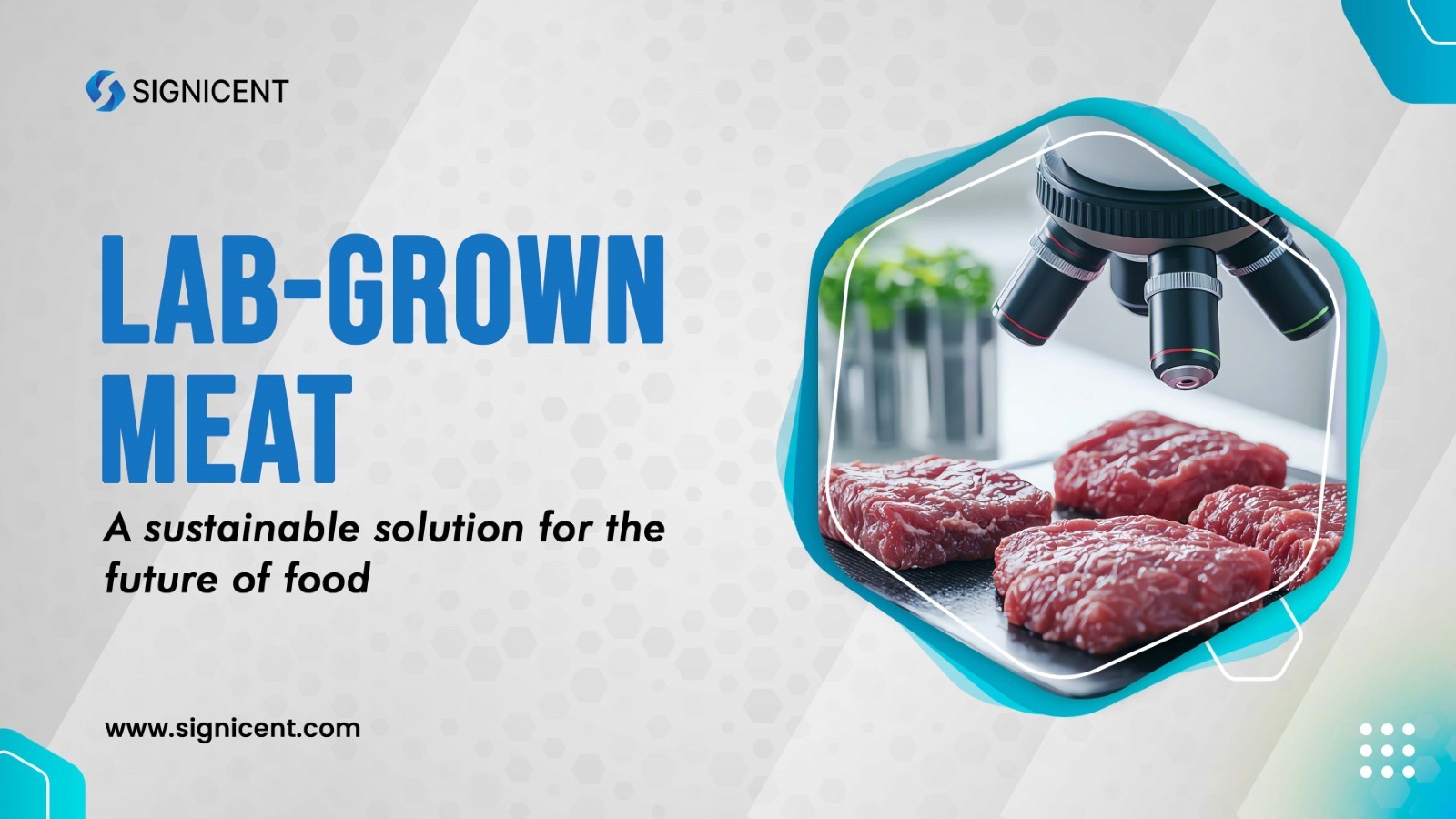 Lab-Grown Meat: Sustainable, Ethical and the Future of Food